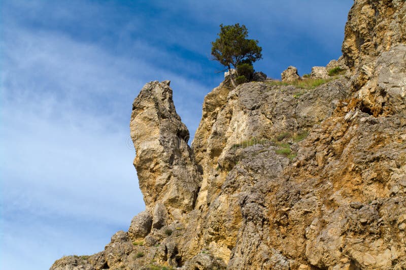 Lonely Cliff and Tree on the Edge of the Rock Stock Photo - Image of ...
