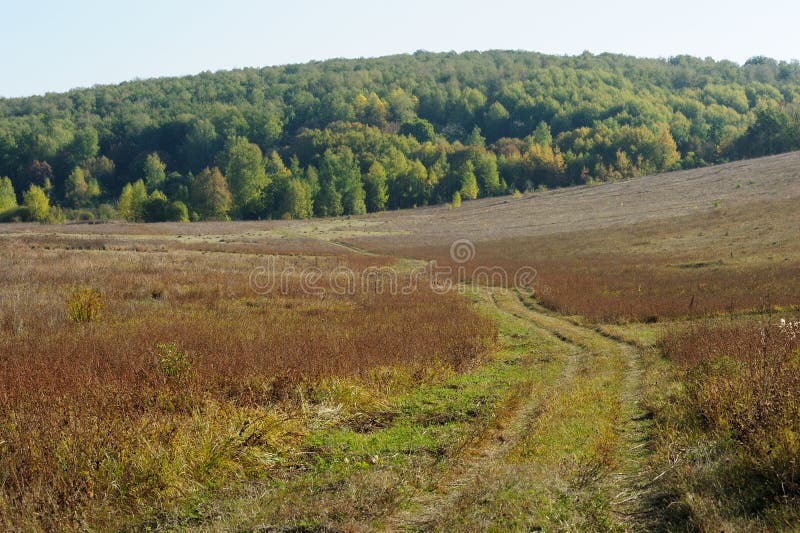 3,125 Rural Field Distant Forest Stock Photos - Free & Royalty-Free ...
