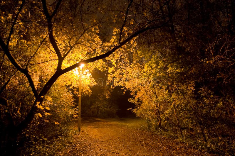 Lonely Dark Dangerous Park Path Stock Photo - Image of longexposure ...