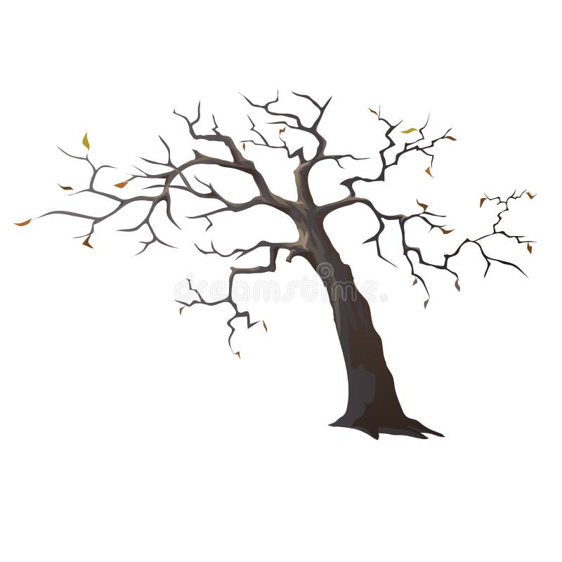Lonely Dead Tree with Sparse Leaves Stock Vector - Illustration of ...