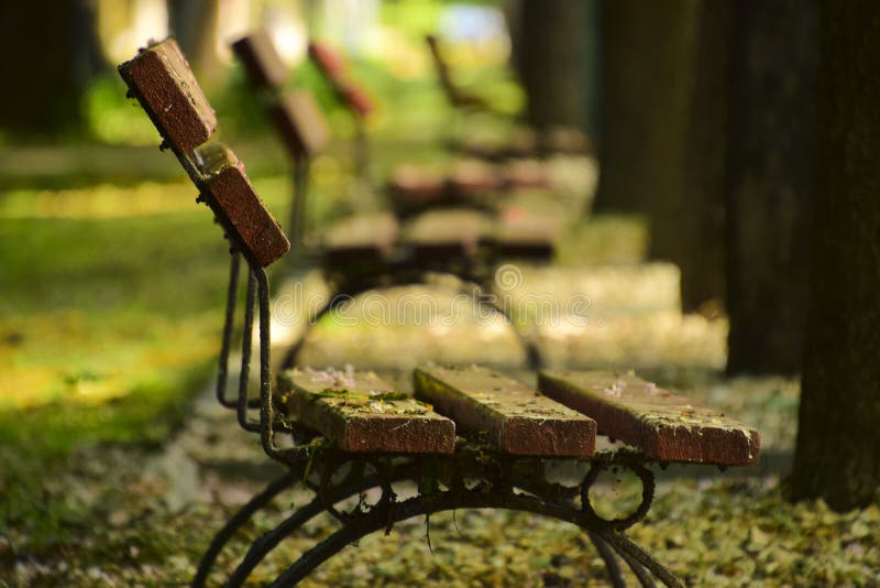 Lonely and dirty stock image. Image of black, bench - 117965173