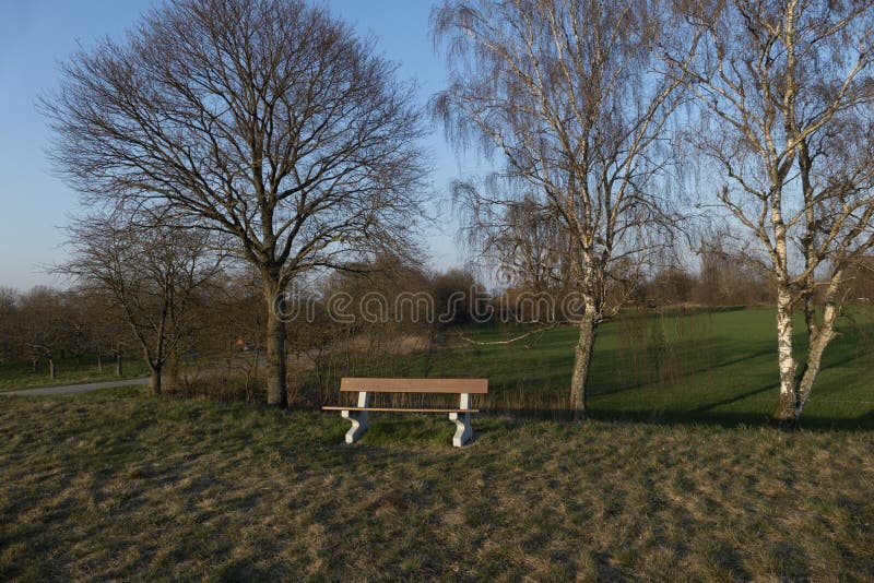 Lonely Empty Bench on a Meadow, in the Sunset Stock Photo - Image of ...