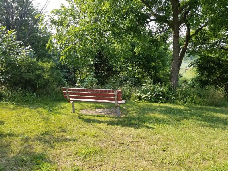A Lonely and Empty Park Bench in a Field Stock Photo - Image of lonely ...
