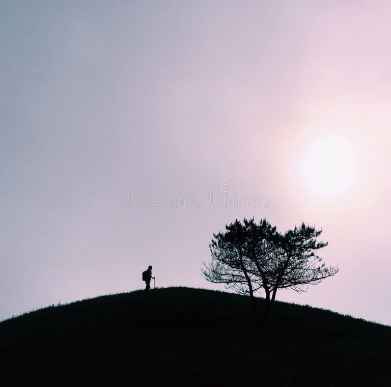 Lonely explorer stock photo. Image of walking, lonely - 54929548