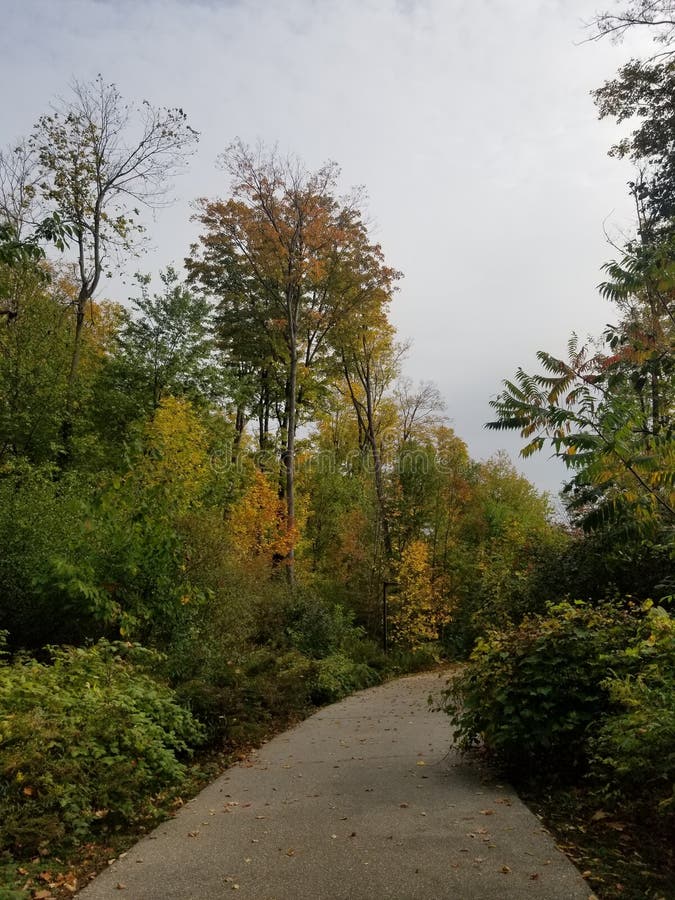 Lonely Fall Hike stock photo. Image of plant, nature - 232107268
