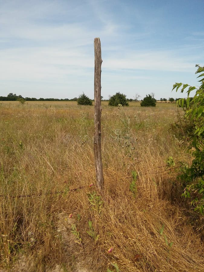 Lonely fence post stock image. Image of wall, flower - 178133777