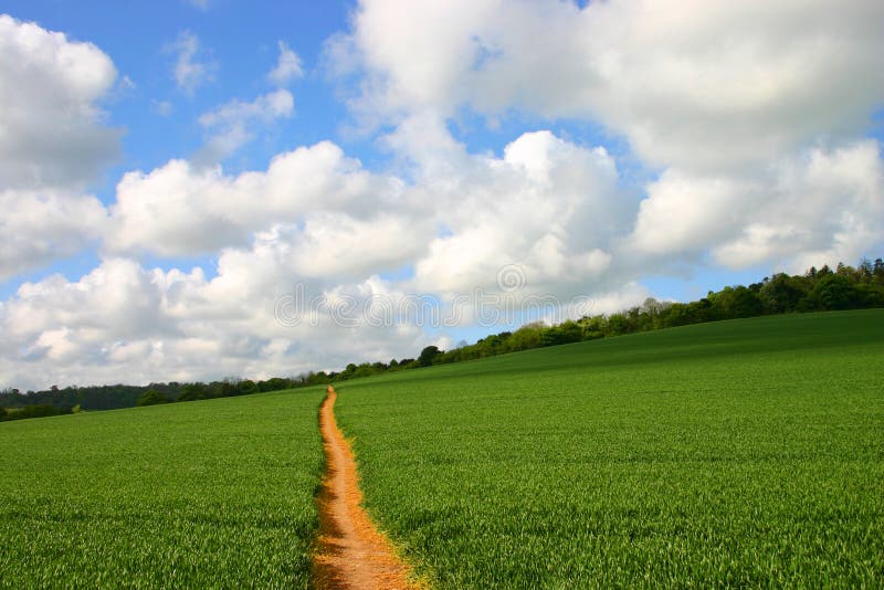Lonely Footpath through Field Stock Photo - Image of scene, chiltern ...