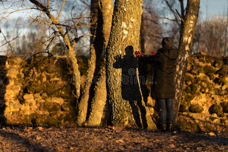 Lonely Girl and Shadow on a Tree Stock Image - Image of pine, beautiful ...