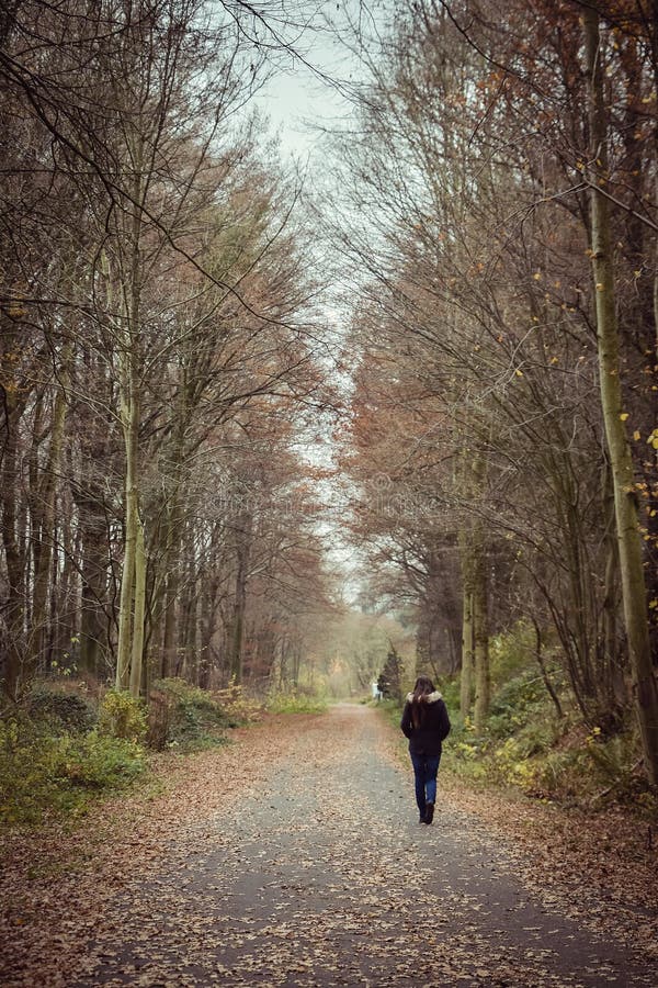 Lonely Girl Walking Down a Path in Fall Stock Image - Image of ...