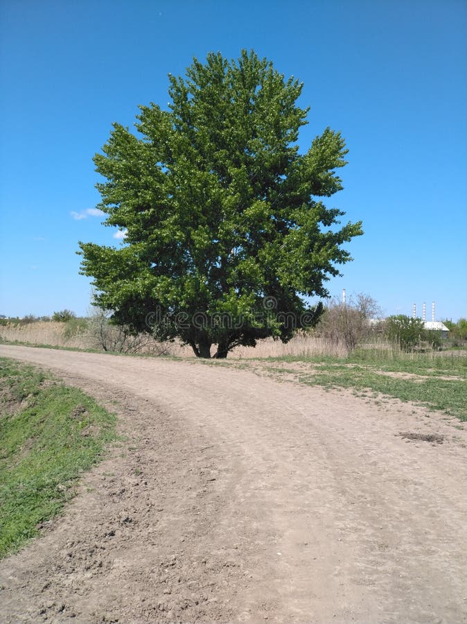 Lonely Green Log Cabin Stands in the Winter. Stock Image - Image of ...
