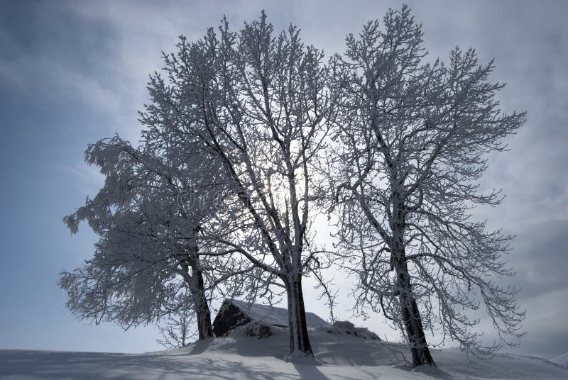 Lonely house stock image. Image of outdoor, beauty, frosty - 8412119