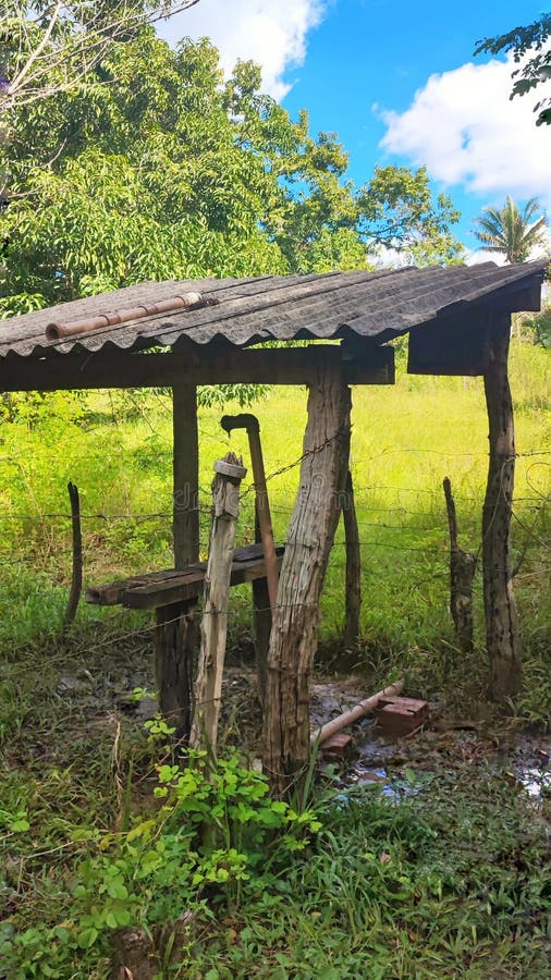 Lonely Hut, Abandoned in a Forest. Still with Some Equipment, but Quite ...