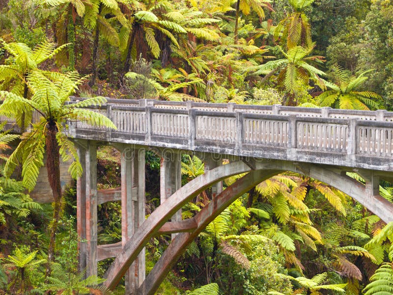 Lonely jungle bridge stock image. Image of hiking, natural - 34789819
