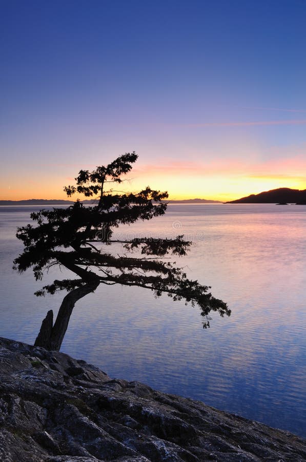 12,721 Juniper Park Stock Photos - Free & Royalty-Free Stock Photos ...