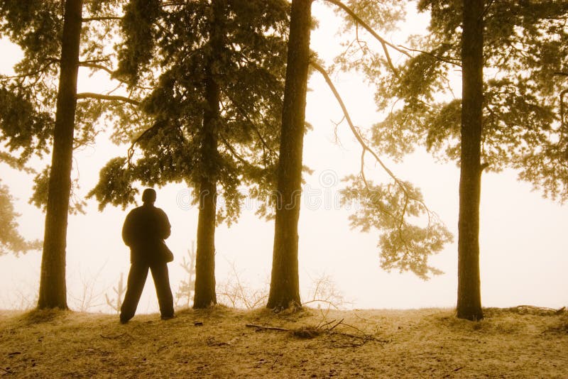 Lonely man stock photo. Image of male, contemplation, adult - 2522336