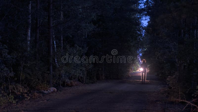 Lonely Man with Flashlight at Night in the Forest Stock Image - Image ...