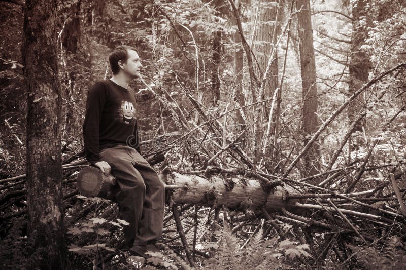 Lonely Man Sitting on Fallen Pine Tree in the Forest Stock Image ...