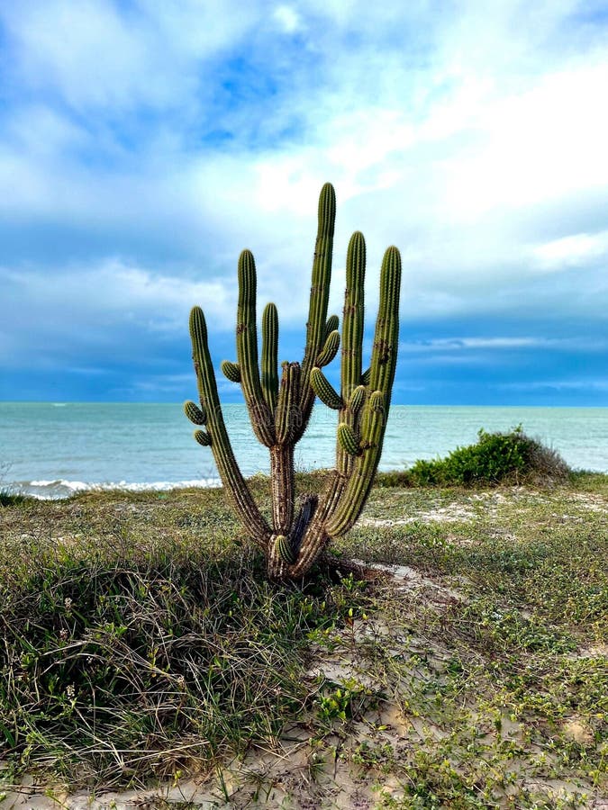 Simetric Foto Stock Photos - Free & Royalty-Free Stock Photos from ...