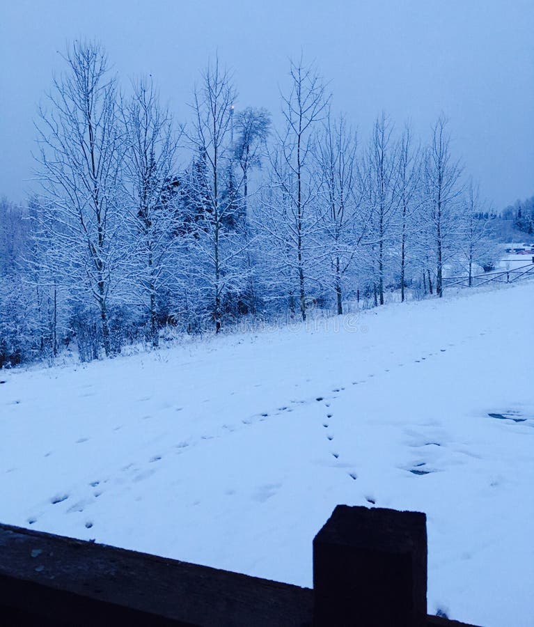 Lonely Morning stock image. Image of thinking, walking - 79476339