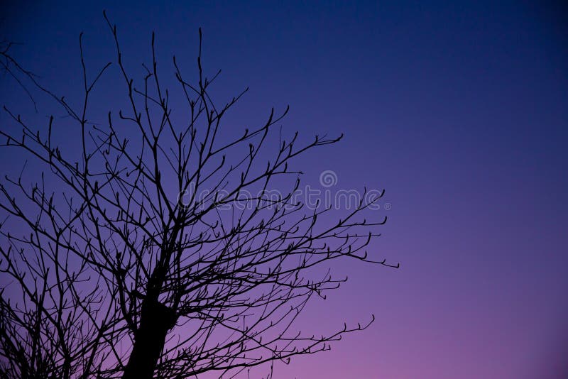 Beautiful Sky at Dusk in the South of France Stock Photo - Image of ...