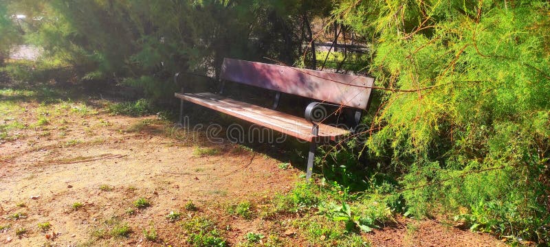 Lonely Old Bench in Sunny Day Stock Photo - Image of bench, sunny ...