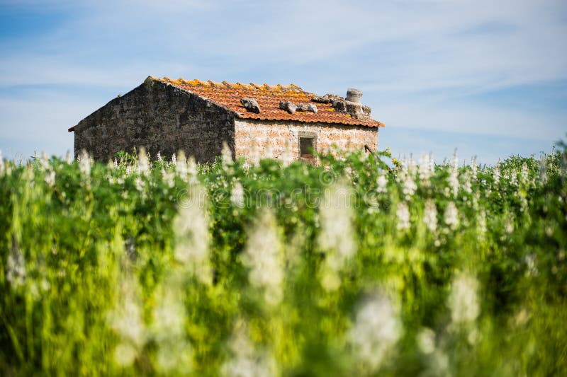 The Colelia Monastery 08 stock photo. Image of gothic - 1075514