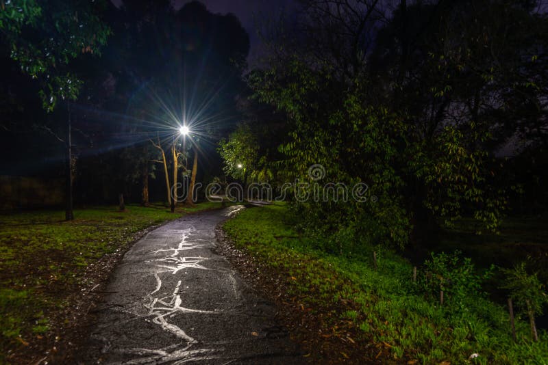 Lonely path in the dark stock photo. Image of black - 119064862
