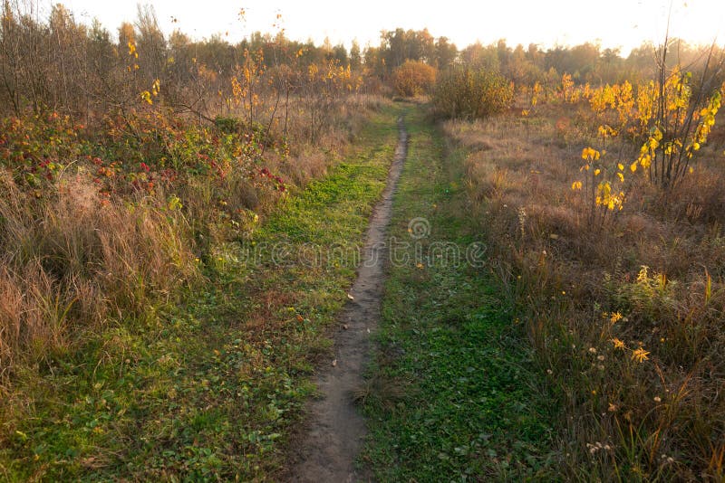 Lonely Path in a Field in the Autumn Evening. Stock Image - Image of ...