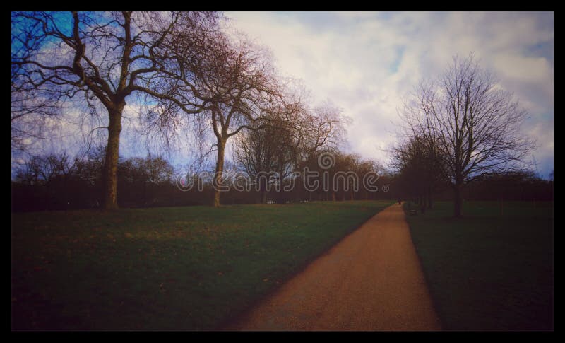 Lonely path stock photo. Image of garden, path, greenery - 14166476