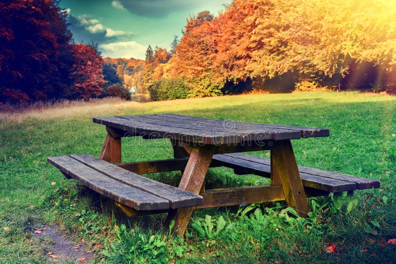 Wooden Picnic Table in Forest Stock Photo - Image of outside, copy ...