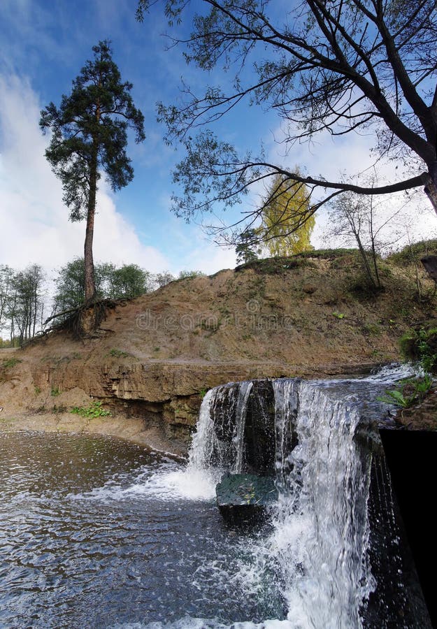 Lonely pine near waterfall stock photo. Image of pine - 4221880
