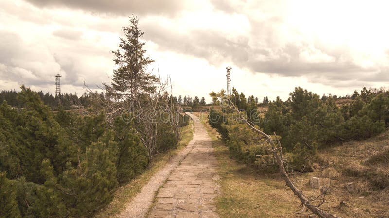 Lonely Road through Black Forest Swamp Stock Photo - Image of hiking ...