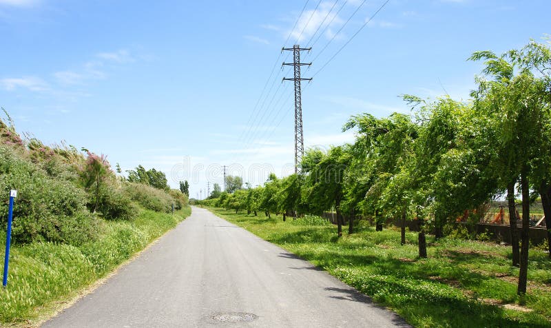 Lonely Road with Fruit Trees Stock Photo - Image of highway, tree: 95729774