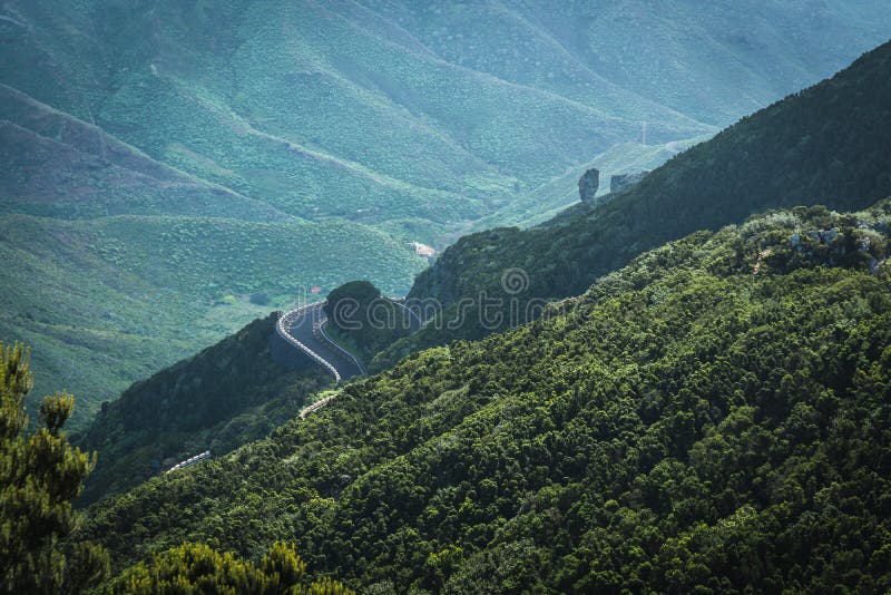 Lonely Road in the Mountain Forest Stock Image - Image of american ...