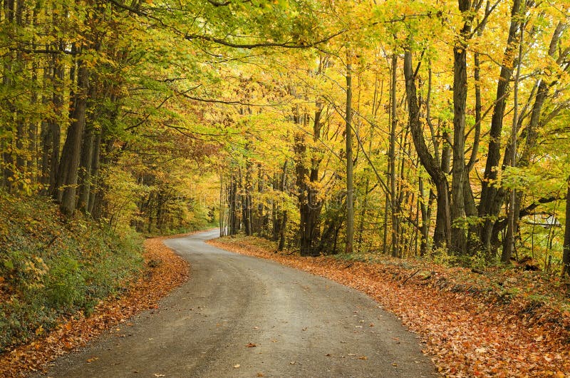 Lonely Rural Road with Fall Colors Stock Photo - Image of fall, beauty ...