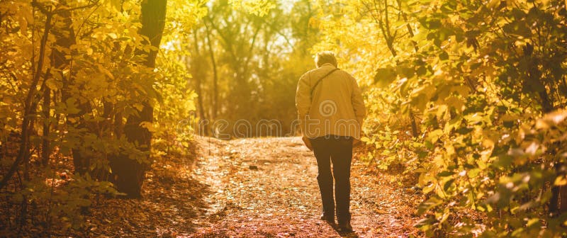 A Lonely Senior Man Walking in the Autumn Forest with Fallen Leaves ...