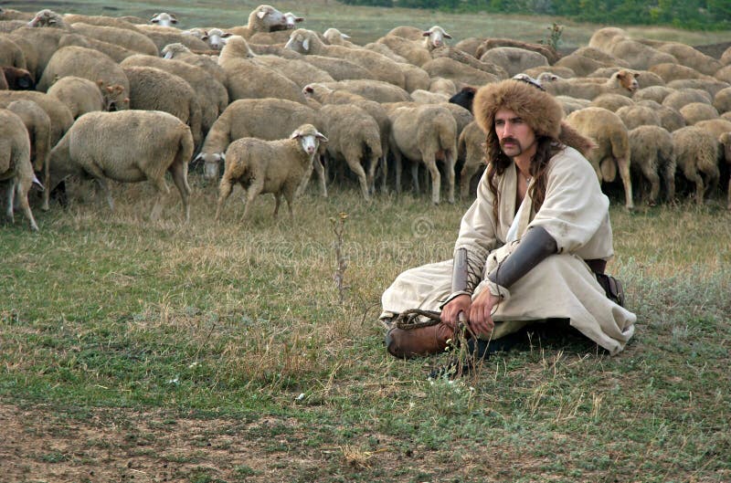 Lonely Shepherd with Sheep on Green Meadow Stock Photo - Image of ...