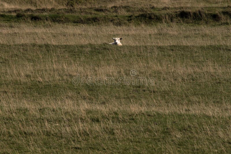 Banksy Piece Stock Photos - Free & Royalty-Free Stock Photos from ...