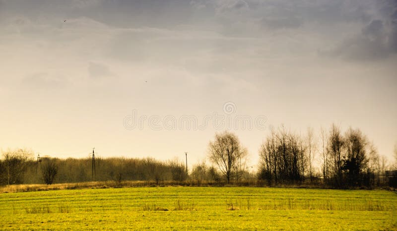 Lonely Single Trees in a Field Meadow in the Distance Stock Image ...