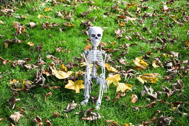 Creepy Halloween Skeleton On A Chair Stock Photo - Image of fear ...