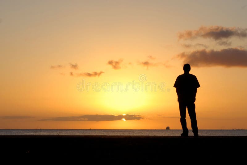 Lonely Sunset stock photo. Image of beach, ocean, silhouette - 13531266