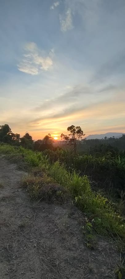 Lonely Sunset stock photo. Image of beach, ocean, silhouette - 13531266