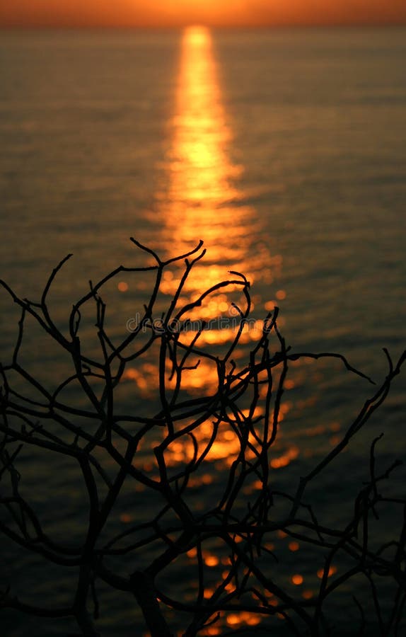 Lonely sunset stock image. Image of reflection, night, peace - 73675