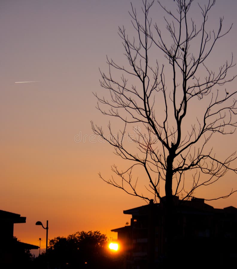 Lonely sunset stock photo. Image of city, numb, comet - 62168092