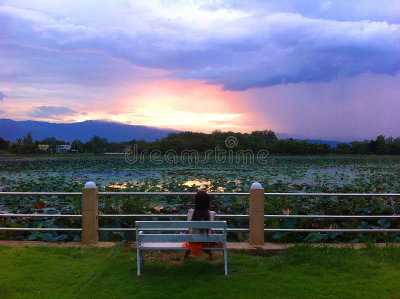 Lonely sunset stock image. Image of watch, swamp, river - 44176573