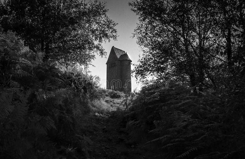 Lonely tower stock image. Image of pigoen, alone, tower - 73144269