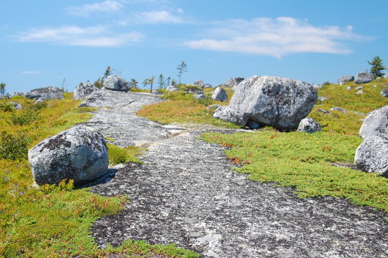 Twa Flight 800 Stock Photos - Free & Royalty-Free Stock Photos from ...