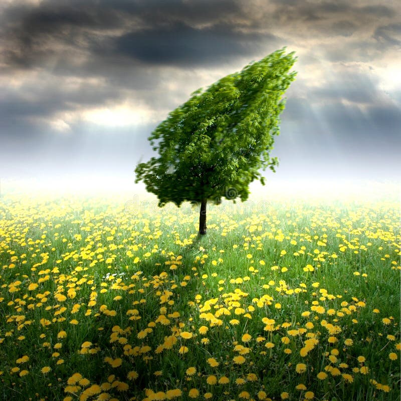 Lonely Tree. Landscape of Alentejo, Portugal Stock Image - Image of ...