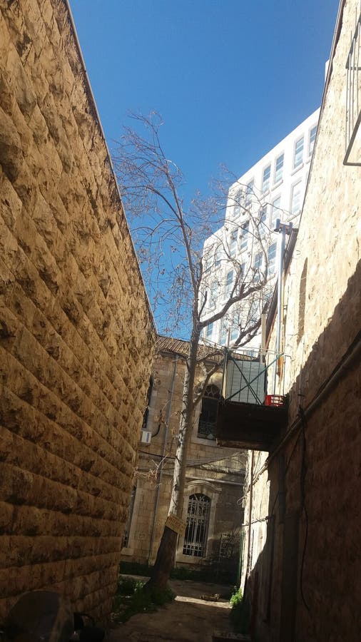 A Lonely Tree in an Abandoned Courtyard. Jerusalem. Israel. Editorial ...