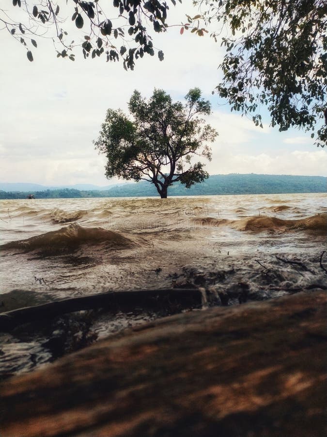 Bili Dam Stock Photos - Free & Royalty-Free Stock Photos from Dreamstime